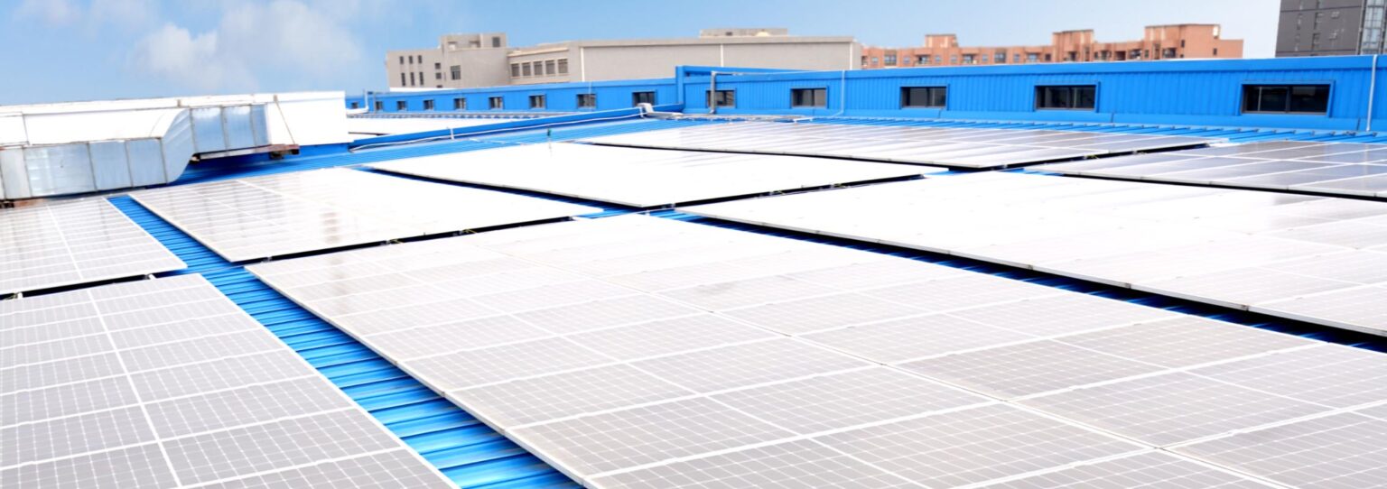 Our Impact - SHEIN Group